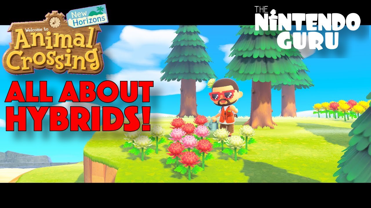 All About HYBRID Flowers in Animal Crossing New Horizons!! | Nintendo ...