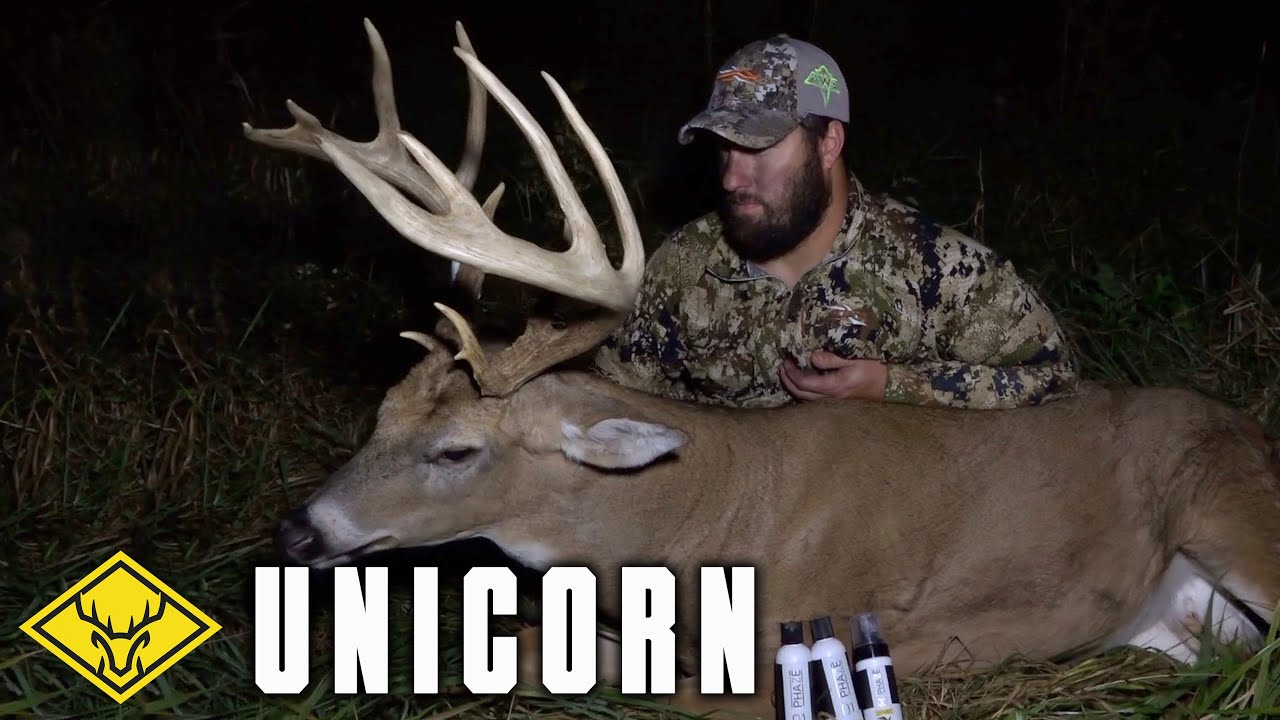 The "Unicorn" Buck | Making a MOVE after October RAIN... - YouTube