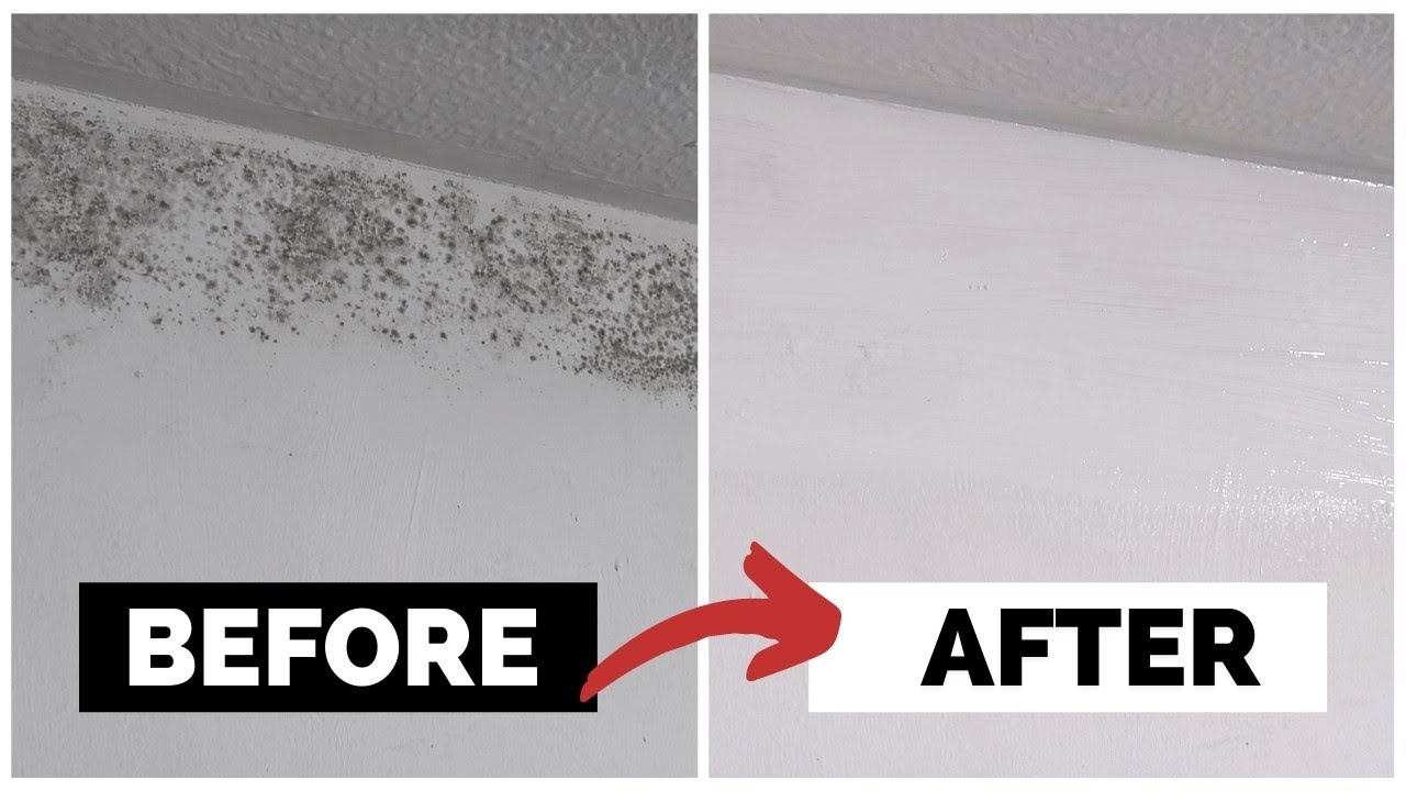 DIY Fast Mold Removal (Temporary Solution) - YouTube