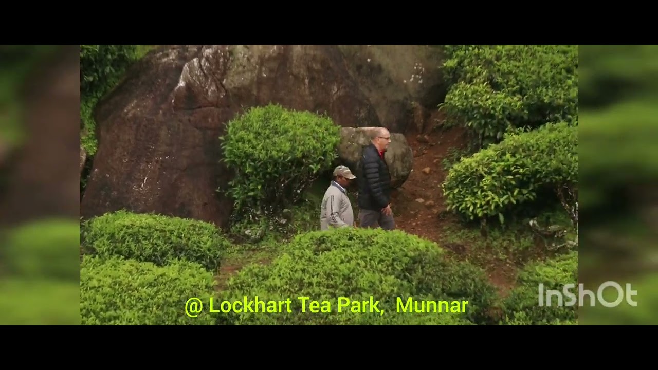 with German client at Lockhart Tea Park Munnar - YouTube