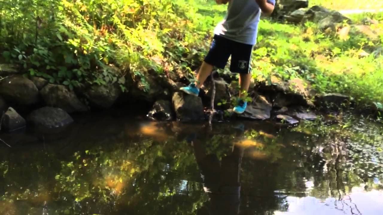 How to catch minnows - YouTube