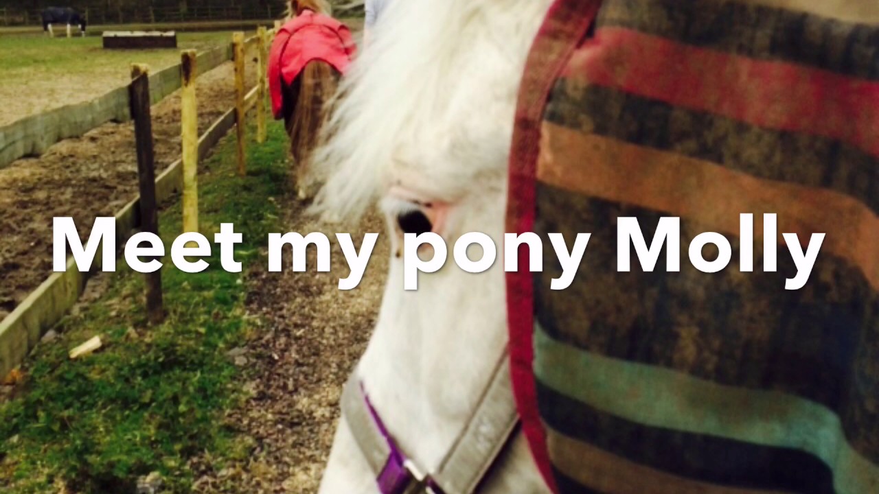 My pony Molly - YouTube