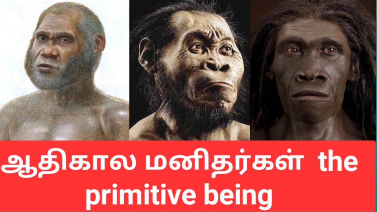 The primitive being explained/youtube Gokul - YouTube