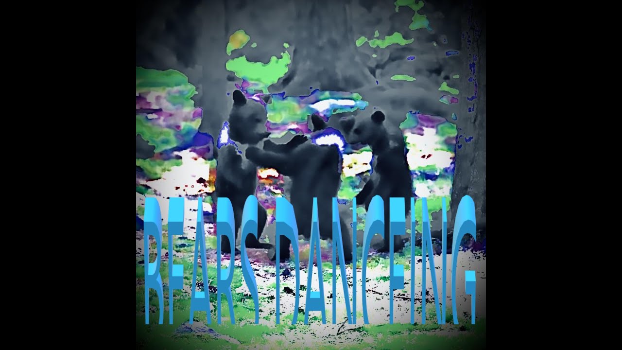Danceing Bears - YouTube