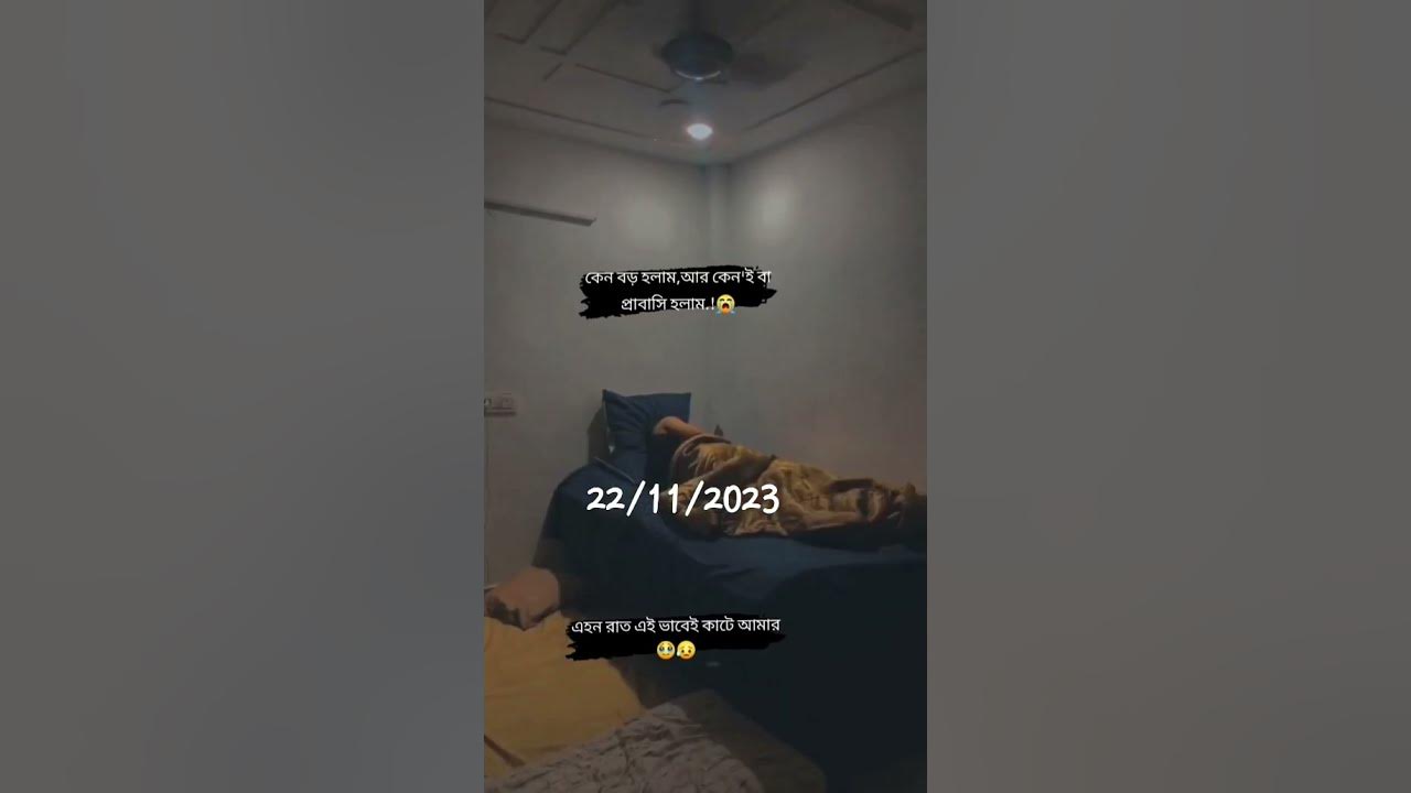 8 February 2024 - YouTube