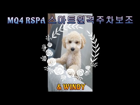 쏘렌토 MQ4 RSPA 스마트원격주차보조, 자동주차 기능으로 편하게 주차해보아요^^ - YouTube