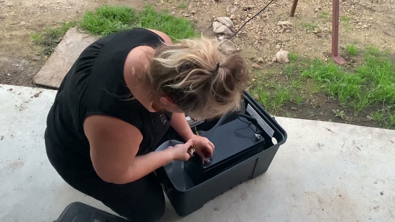 Hill Exotic Traps Camera Setup - YouTube