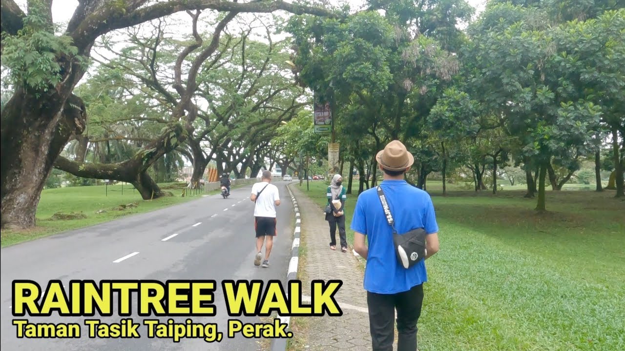 Raintree WALK, Taiping, Perak | Tenang & Aman Disini. - YouTube