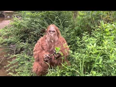 I got in a fight with BIG FEET!