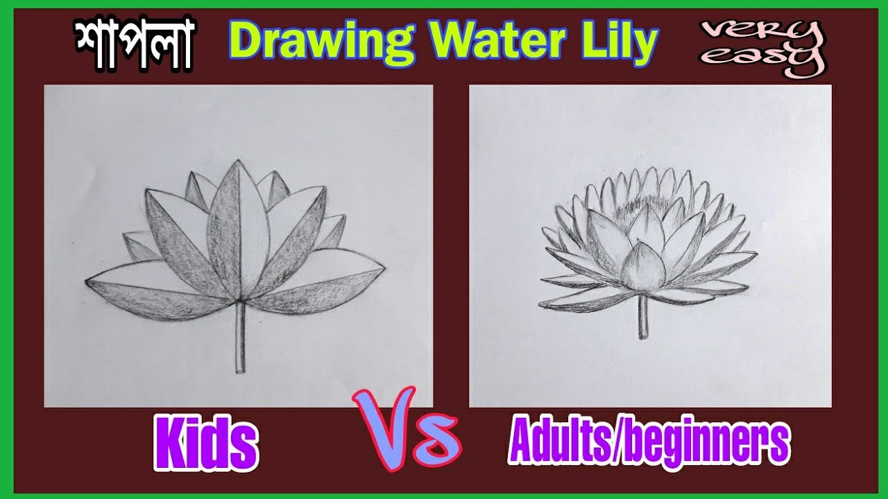 Drawing Water Lily for kids and adults/beginners| শাপলা ফুল আঁকা| very ...