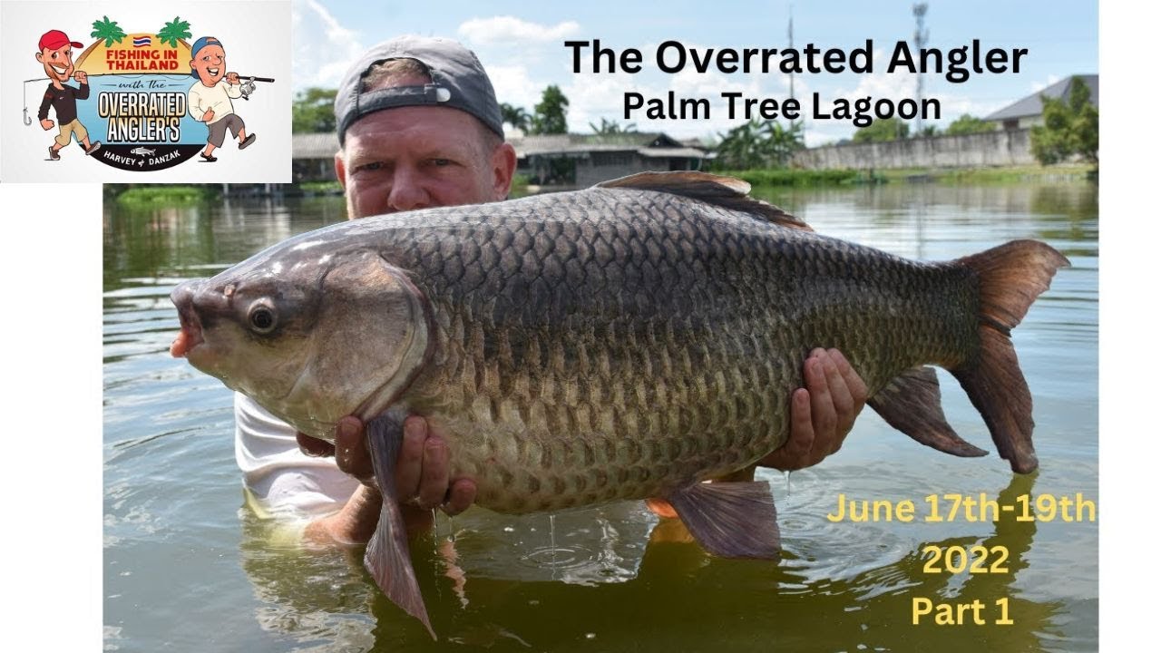 Fishing in Thailand - The Overrated Angler - Palm Tree Lagoon - 17th ...