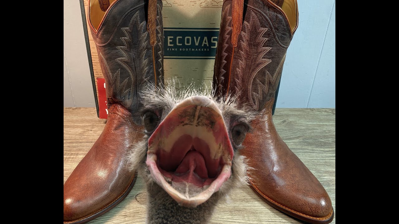 Tecovas The Weston - Smooth Ostrich - Limited Edition Cowboy Boots ...