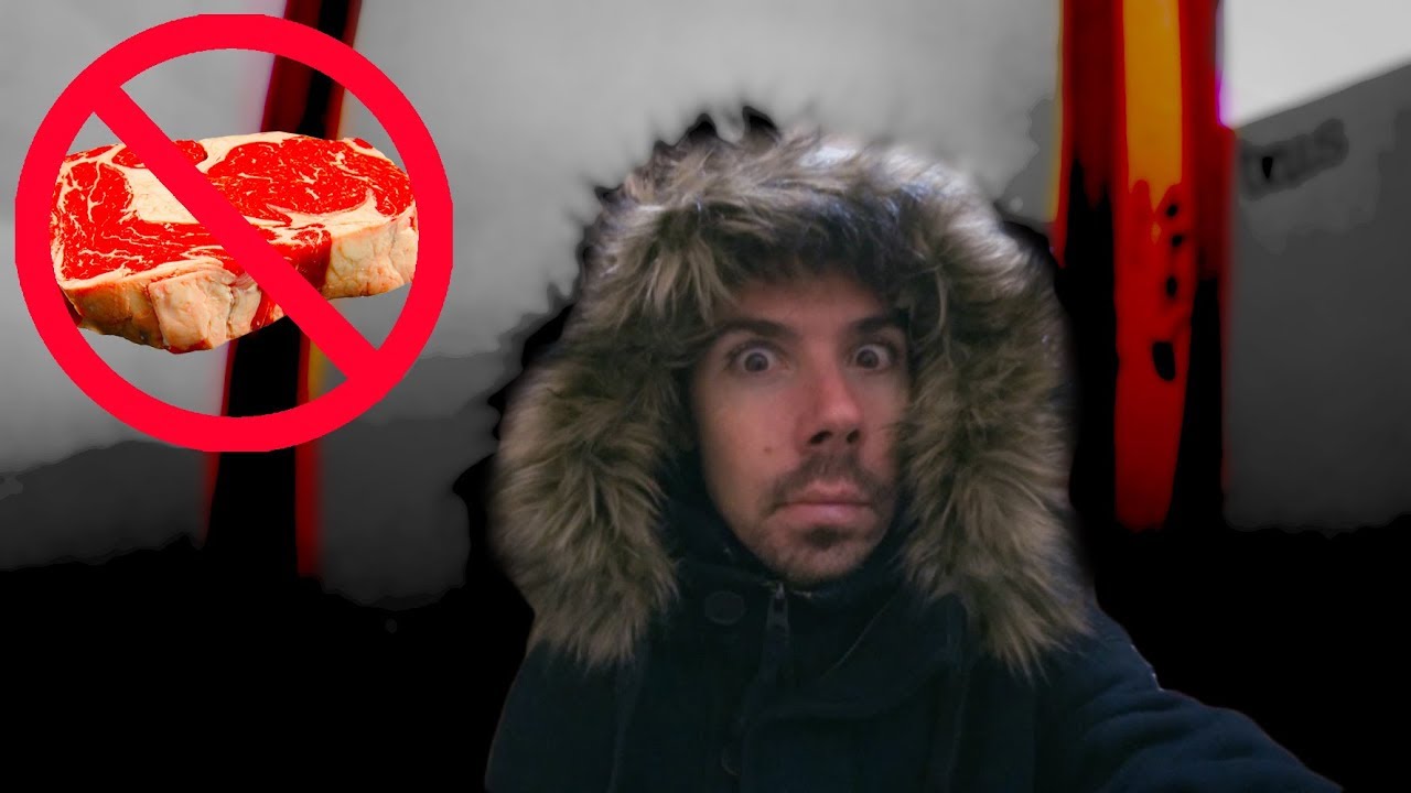 Why I Stopped Eating Raw Meat on the Carnivore Diet - YouTube