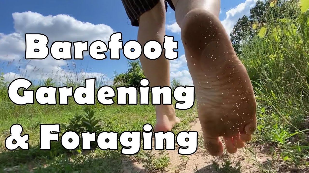 Barefoot Gardening & Foraging👣 - YouTube