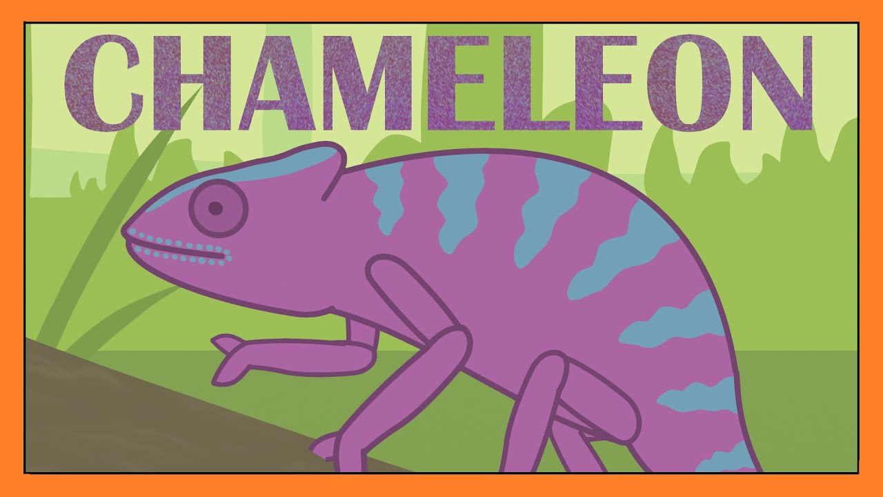 Chameleon Song - Fun Educational Animal Song for Kids │ Smiley Rhymes ...
