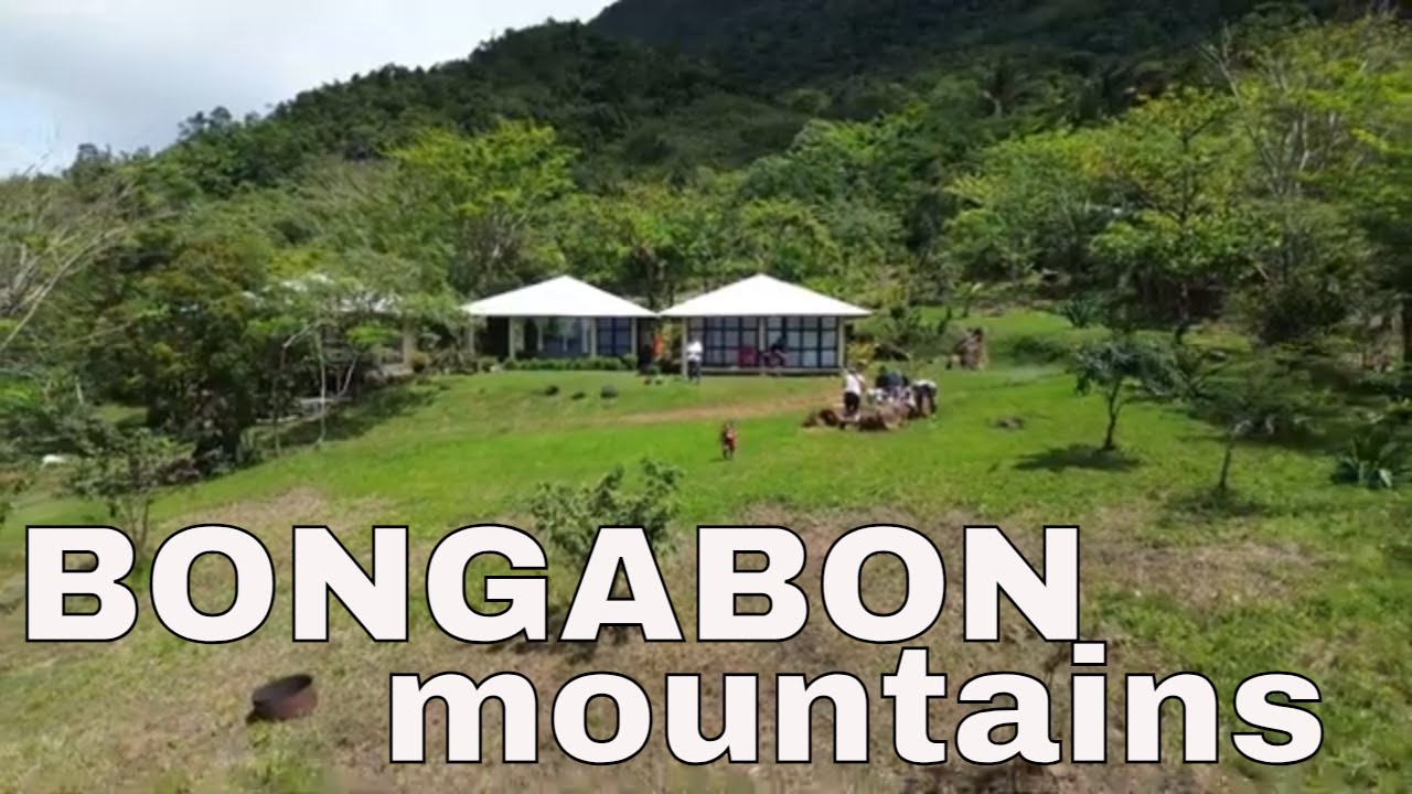 Discover The Majestic Beauty Of Bongabon Mountains! - YouTube