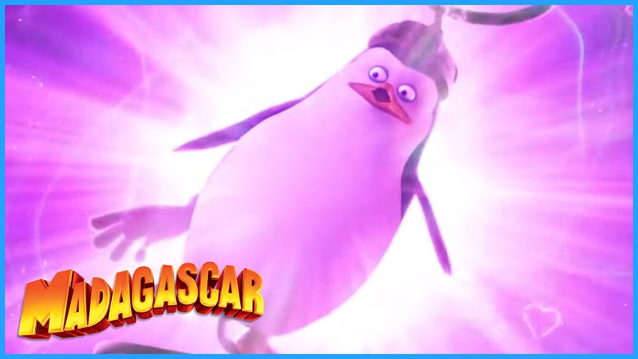 Penguins Of Madagascar Baby Private