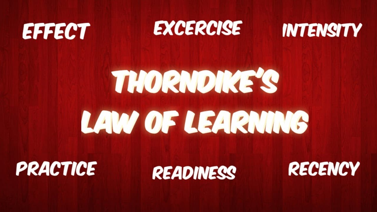 THORNDIKE'S LAWS OF LEARNING | IN 10 MINUTES | - YouTube