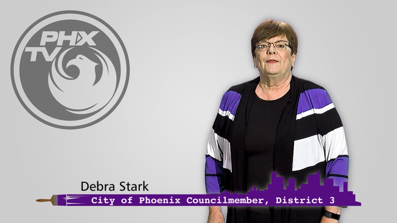 Domestic Violence Awareness | Paint Phoenix Purple | Councilmember ...