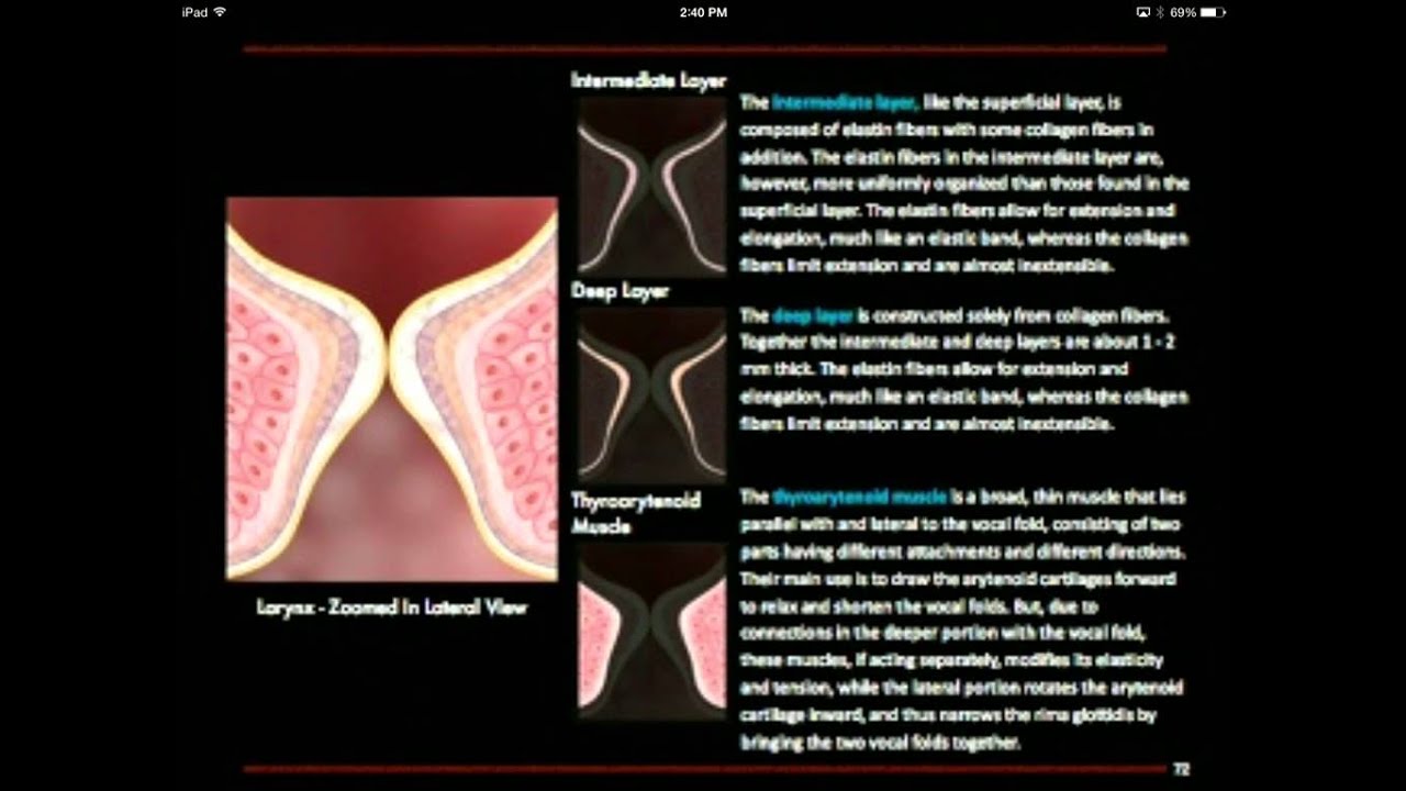 Larynx & Vocal Fold ID iBook - YouTube