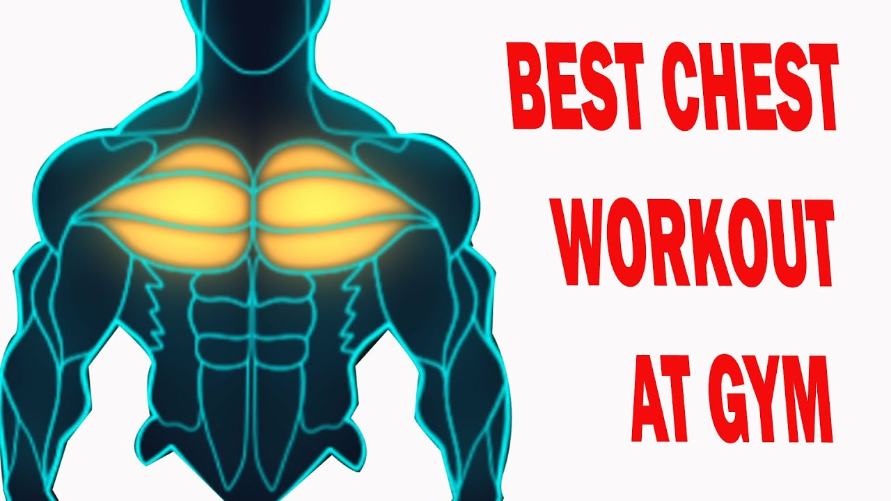 BEST chest workout at gym - YouTube