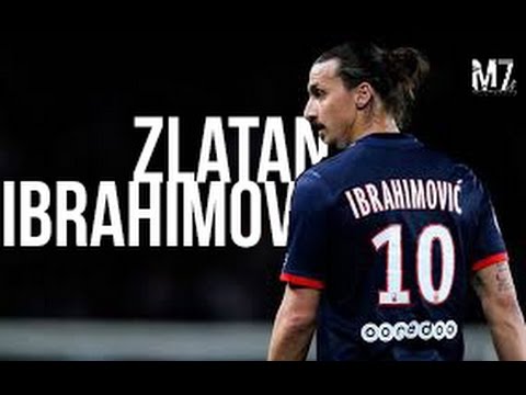 Zlatan Ibrahimovic Ultimate Fights Crazy Moments HD - YouTube