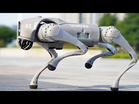 Unitree B2 Robot: Exploring its Advanced Features and Capabilities ...