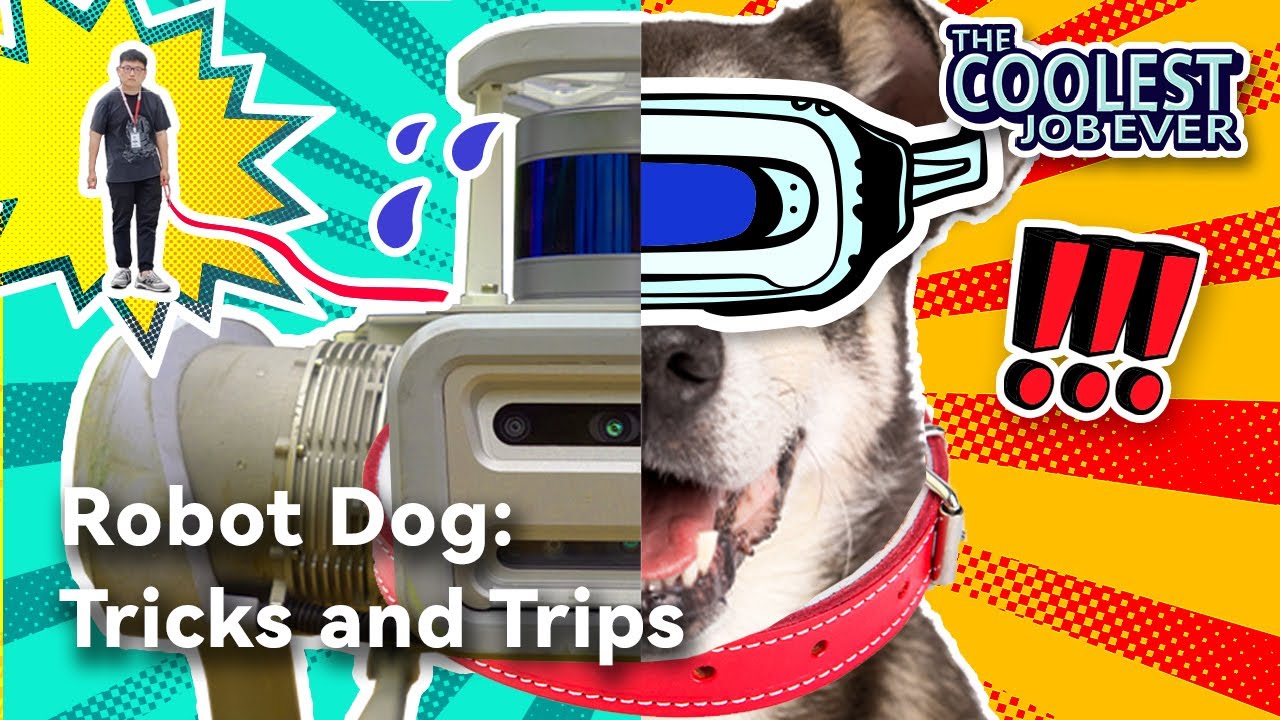 Robot Dog: Tricks and Trips - YouTube