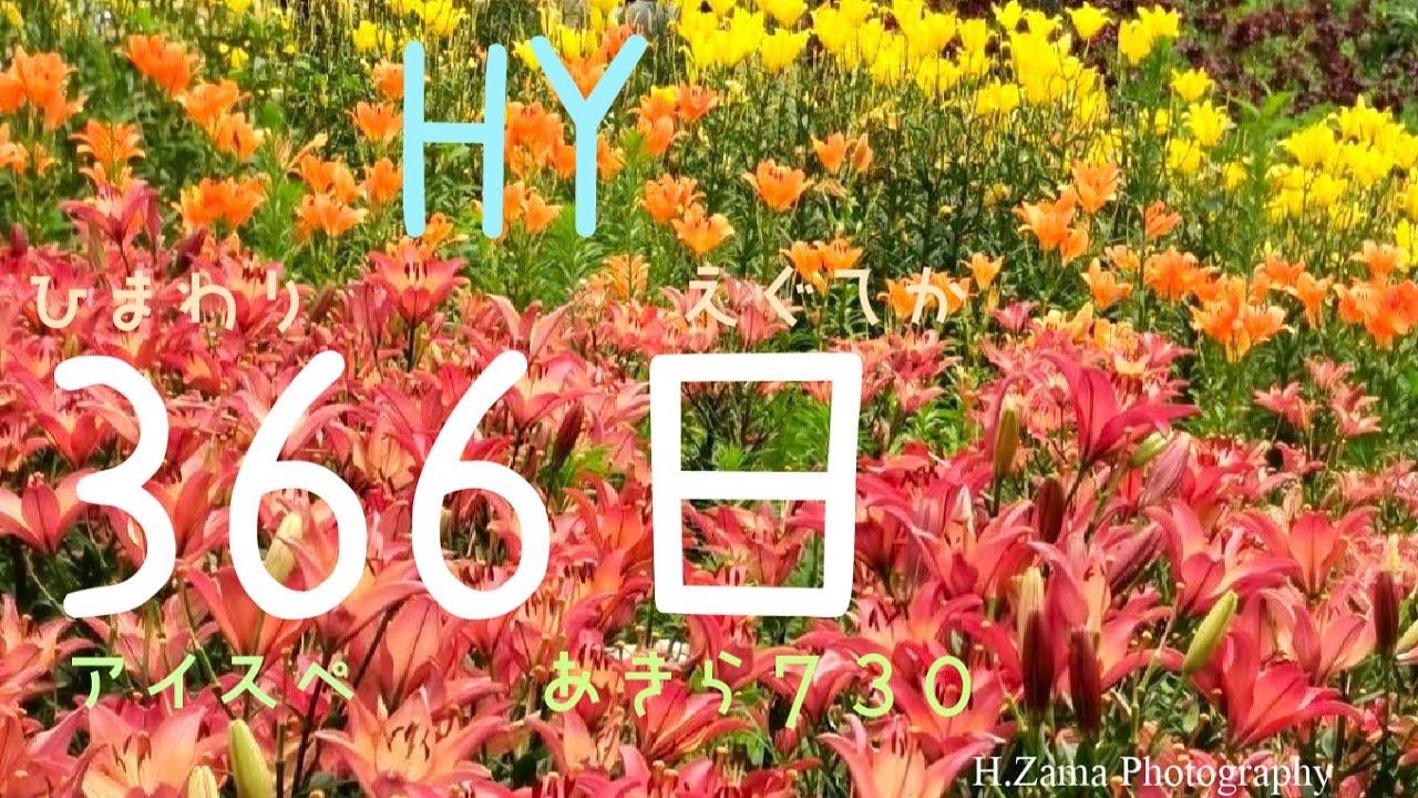 HY／366日【うたスキ動画】 - YouTube