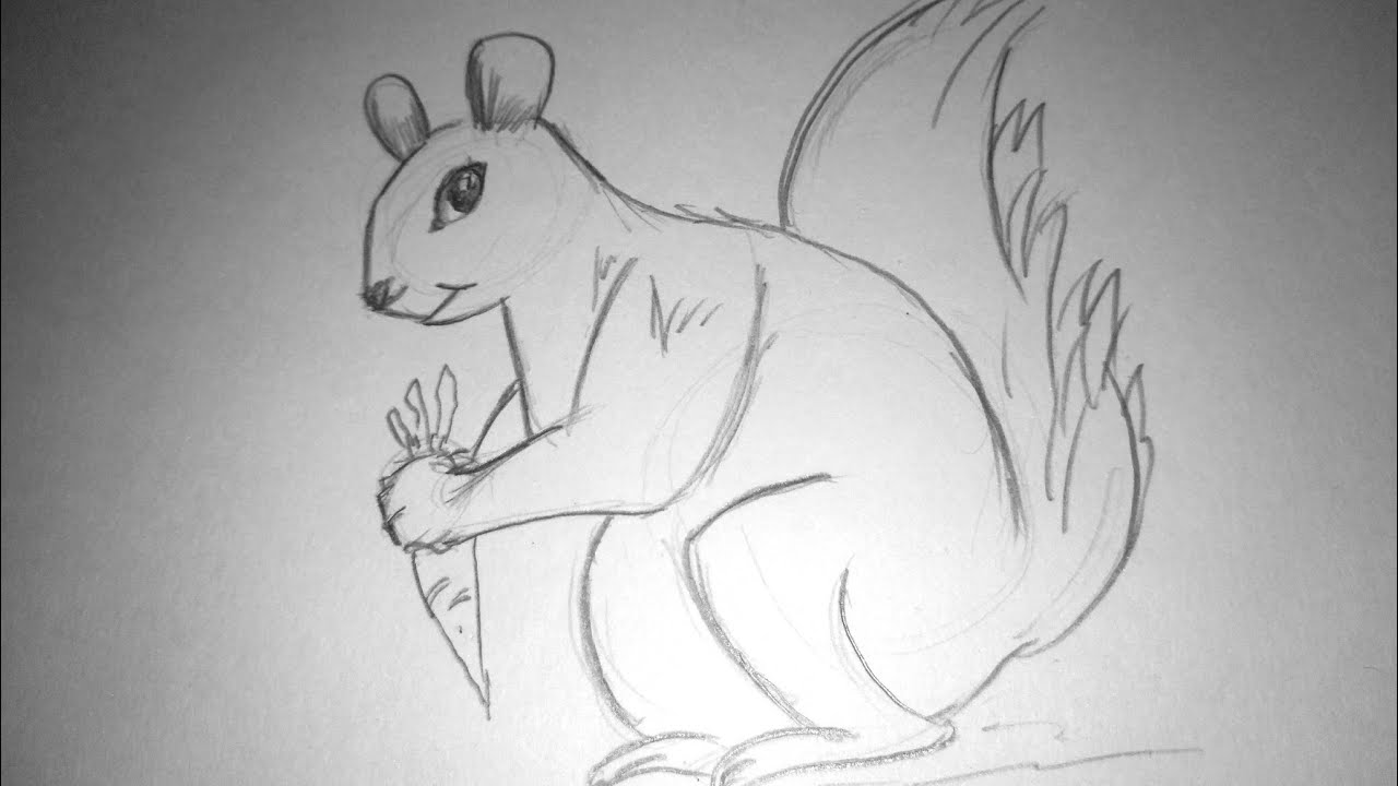 गिलहरी की चित्र बनाएं,Cute squirrel drawing - YouTube