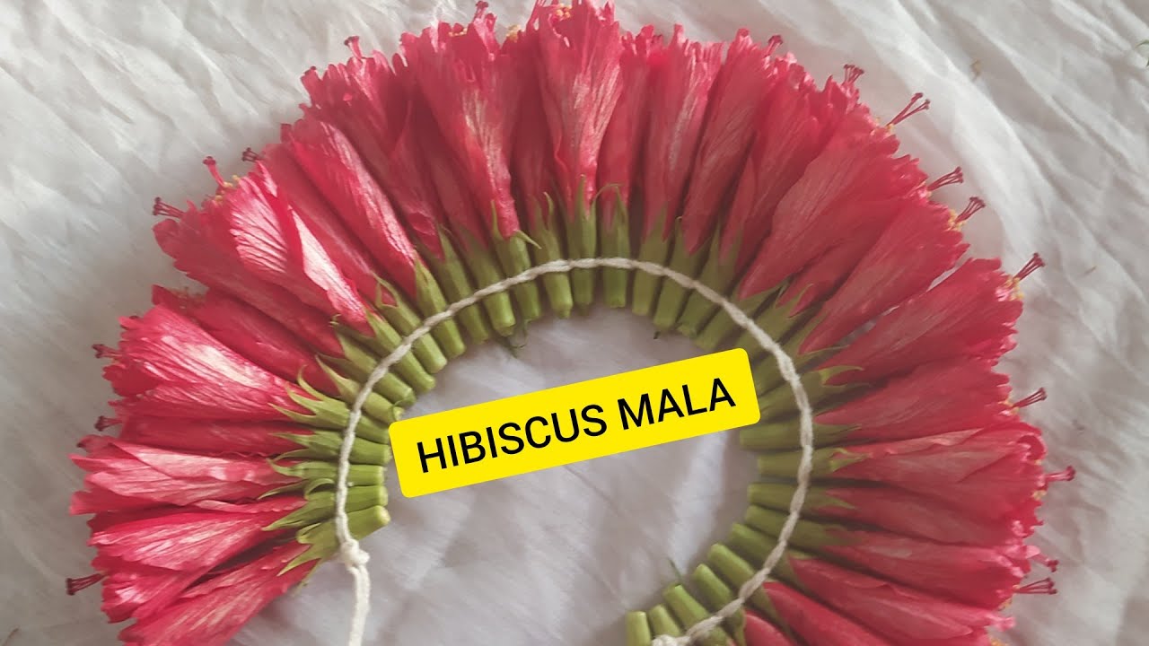 How to make Hibiscus mala for God//Mandara mala for Ganesha,kalasham ...