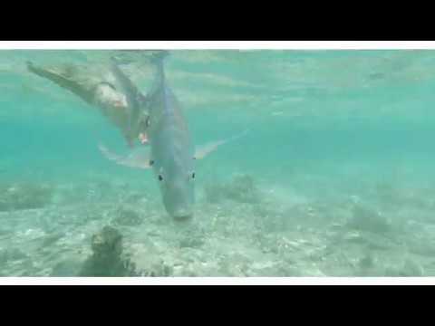 UFUDU_PROMO_2020_V.1 - YouTube