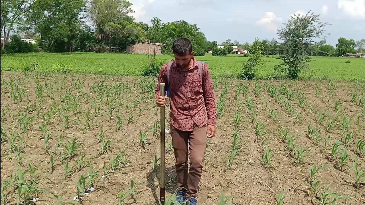 मक्का में खाद रखने की देसी जुगाड़#। Technique to placed fertilizers in ...