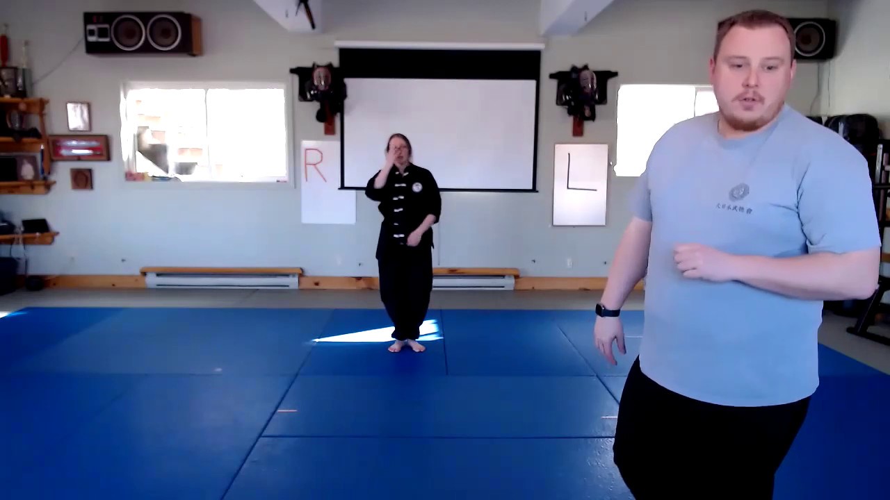 Lesson: Leopard Kung-Fu - YouTube