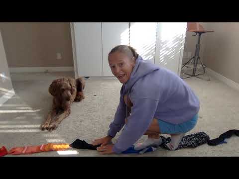 gymnastics routine