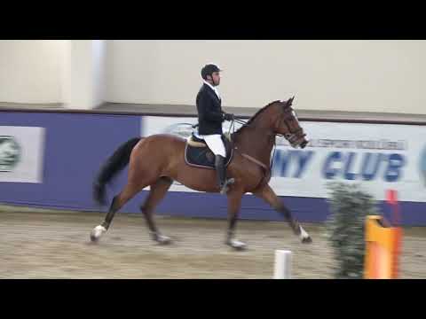 HÜSNÜ DİNÇ - FRANCESCO, İASK ONE DAY SHOW 9 MART MÜSABAKALARI 120 CM YP BEŞİNCİSİ