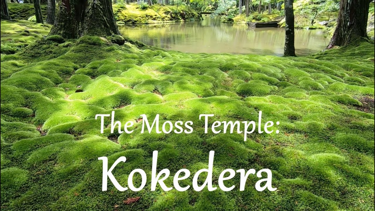 Kokedera, Moss Temple, Kyoto - YouTube