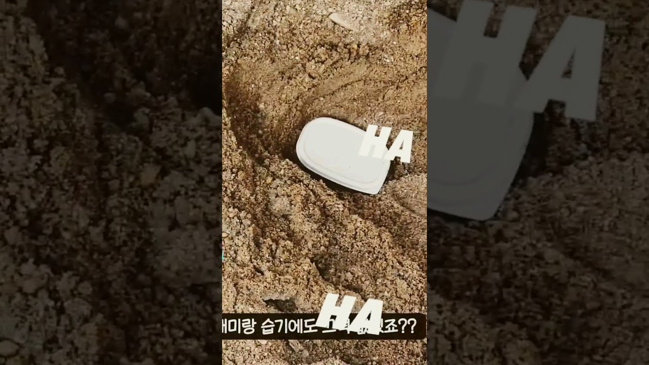 10년 후의 나에게 보내는 편지 타임캡슐 Youtube