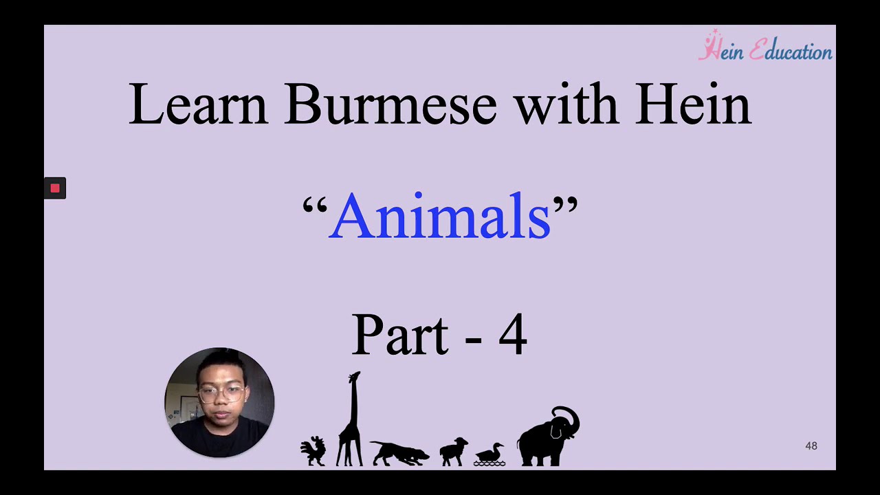 Learn Burmese with Hein - Part 4, "Birds" #heineducation #burmese # ...