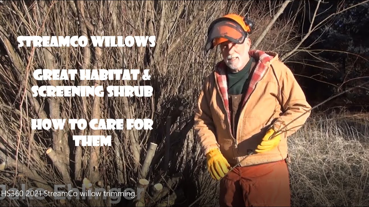 Habitat Solutions 360, LLC 2021 StreamCo willow trimming, maintenance ...