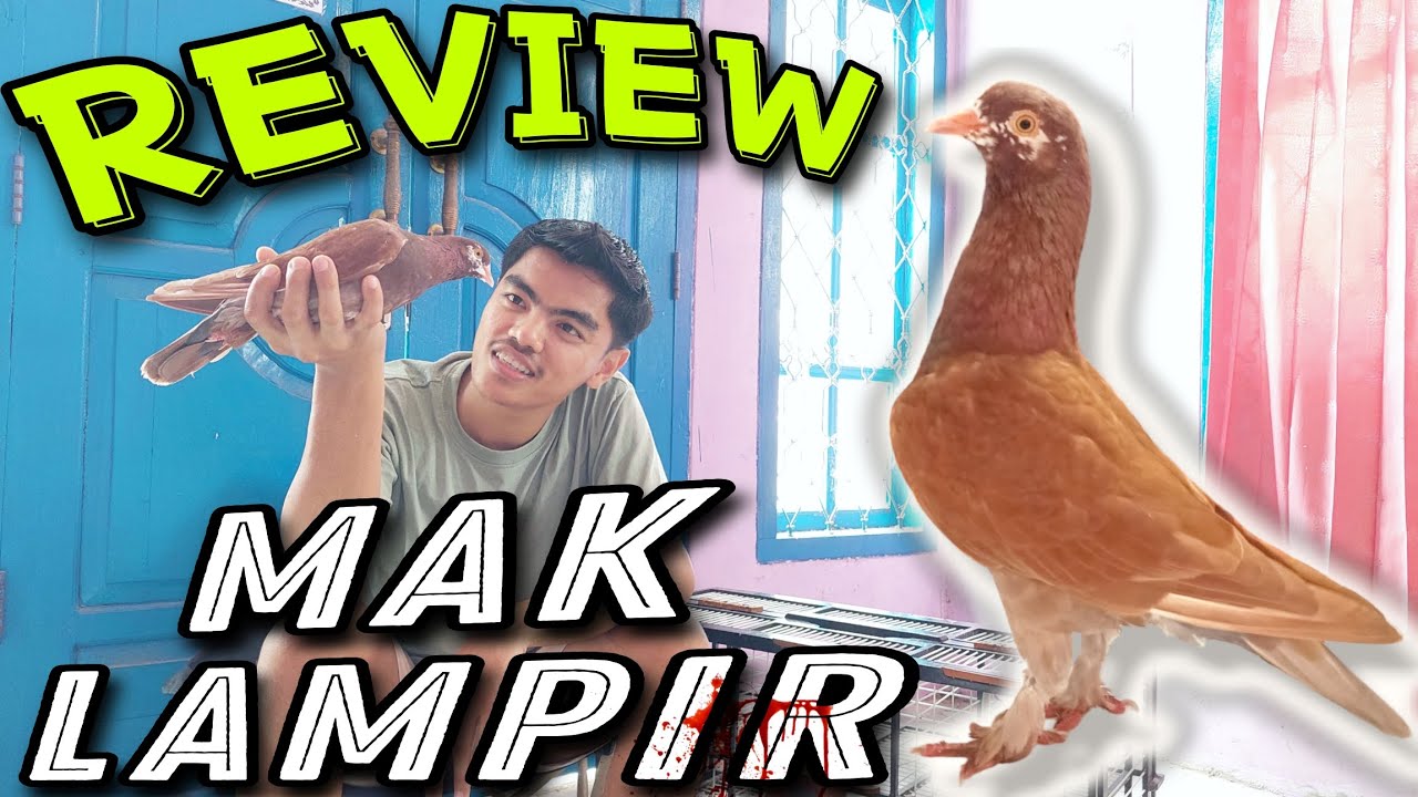 REVIEW INDUKAN BODY BOTOL MAK LAMPIR || INDUKAN KELAS 2 SUPER ...