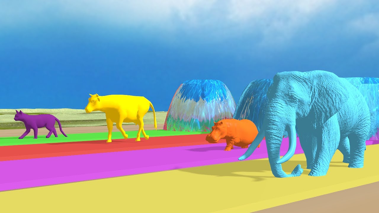 The animal changes color - YouTube