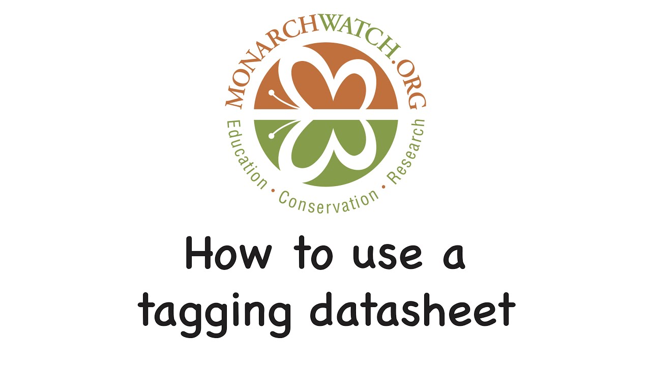 How to use a Monarch Watch tagging datasheet - YouTube