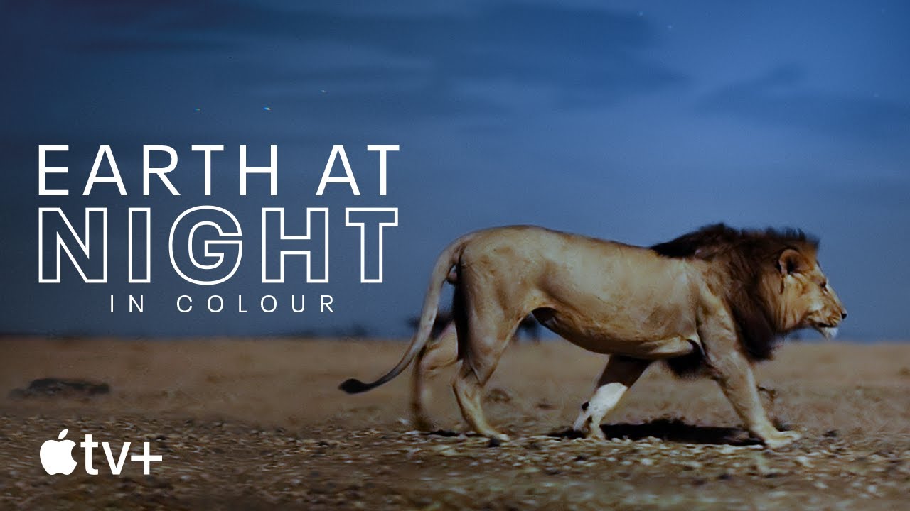 Earth At Night In Colour — Official Trailer | Apple TV+ - YouTube