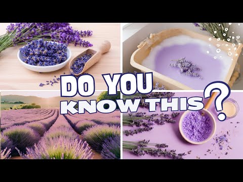 The Power of Lavender: Calm Mind, Aromatic Bliss and Gentle Skin