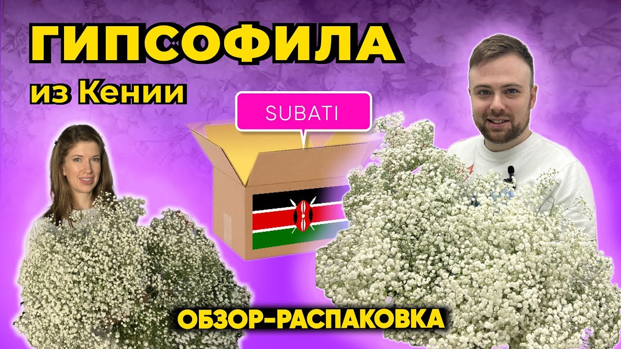 Гипсофила из Кении | Обзор плантации SUBATI распаковка коробки ...