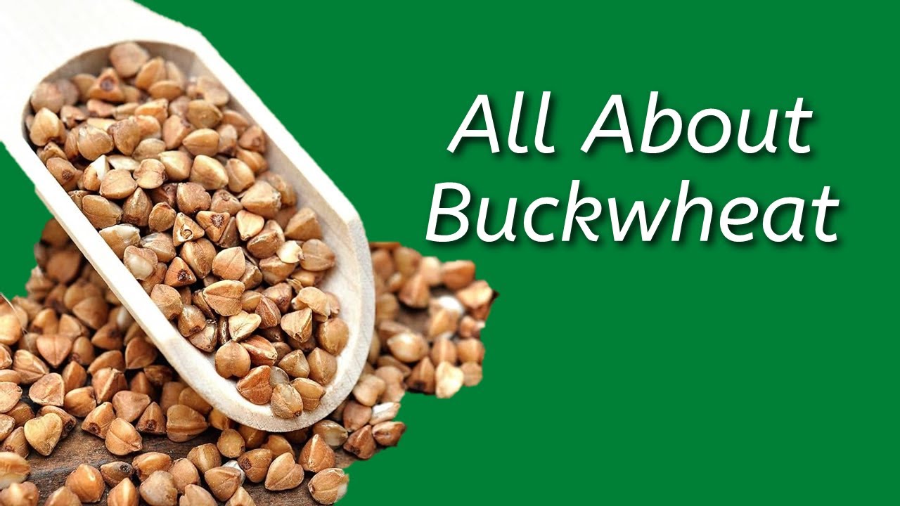 All About Buckwheat | TeachMeYT - YouTube
