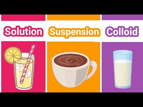 Solution, Suspension & Colloid | Class 9 | Ch-2 - YouTube