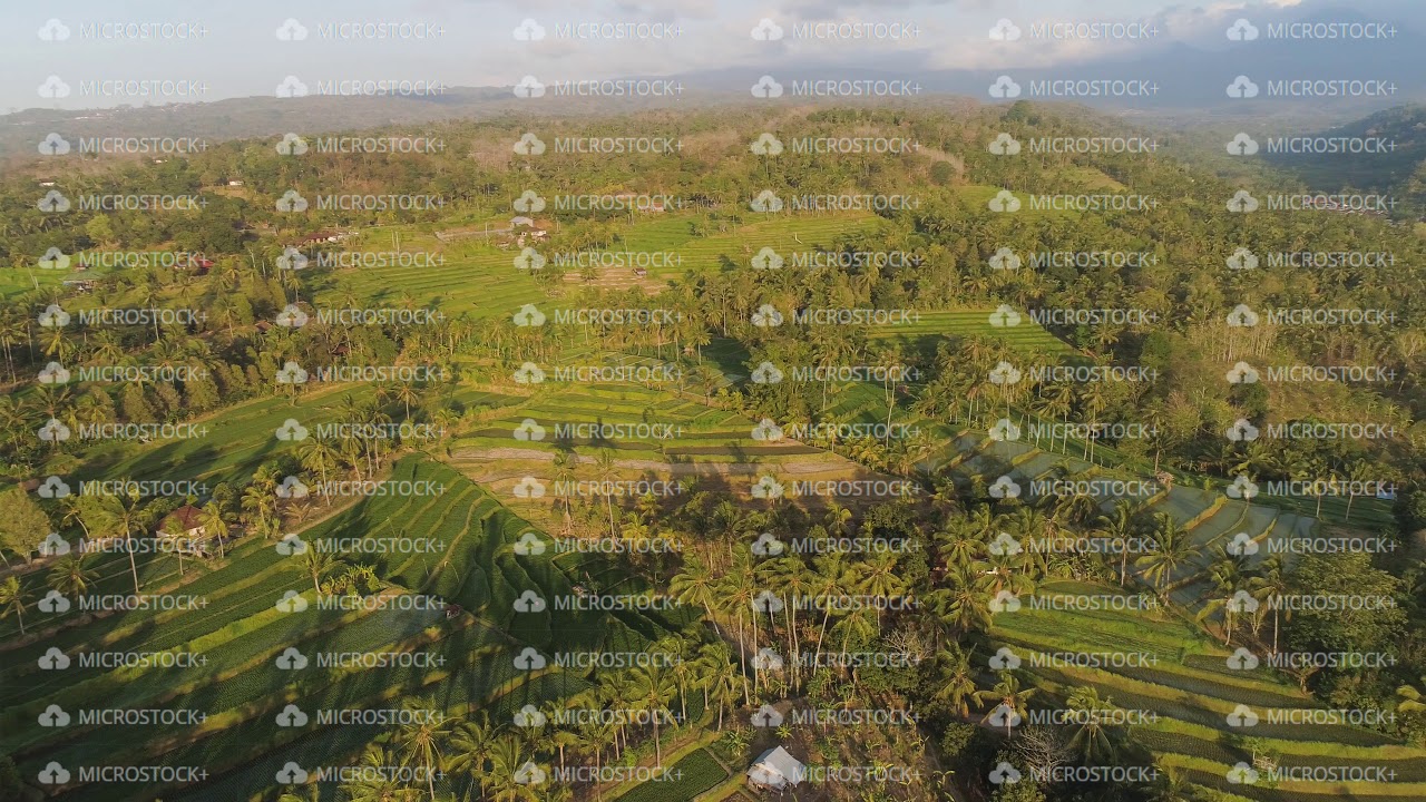 tropical landscape with agricultural land in indonesia - YouTube