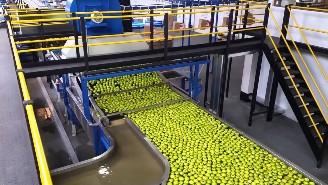Packman - Apple Packing - YouTube